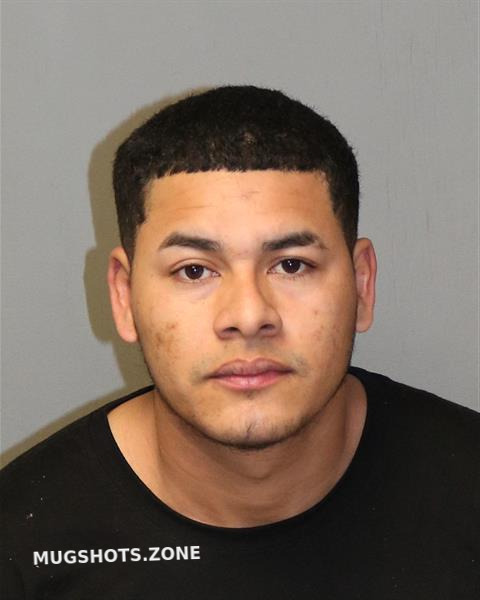 SOLER-ULLOA JOSE DANILO 02/06/2024 - New River Valley Regional Jail ...