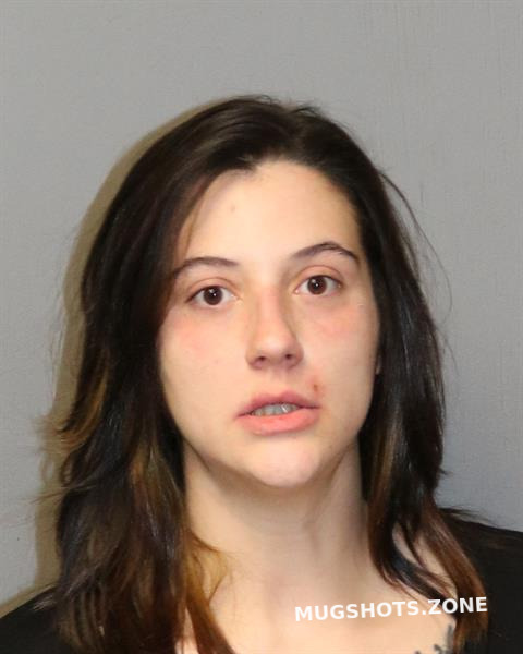 LUNSFORD BRIANNA JORDAN 02/28/2024 - New River Valley Regional Jail ...