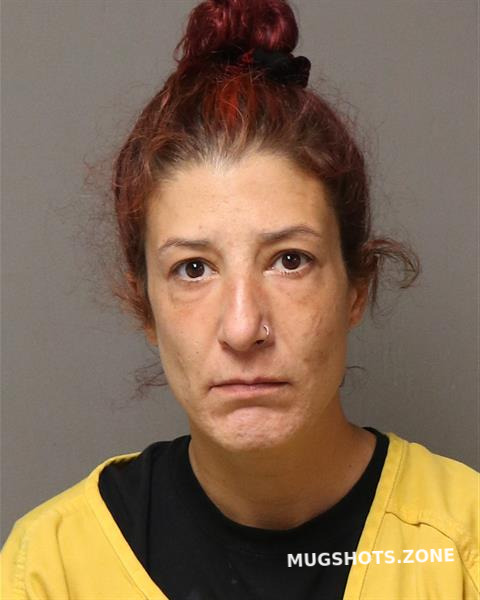 PICCARIELLO MARIA LUCINA 03/01/2024 - New River Valley Regional Jail ...