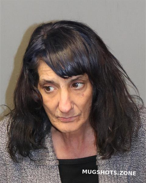 MELITA LISA REGINA 03/07/2024 - New River Valley Regional Jail Mugshots ...
