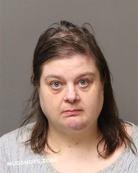 STROUPE STACI LYNN 04/02/2024 - New River Valley Regional Jail Mugshots ...