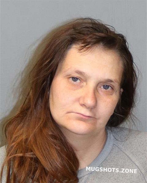 Page Goldie Marie 04 14 2024 New River Valley Regional Jail Mugshots Zone
