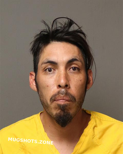 SANCHEZ GUILLERMO FABIAN 06/12/2024 - New River Valley Regional Jail ...