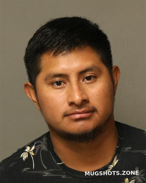 TORRES-REYES JUAN MANUEL 10/19/2024 - New River Valley Regional Jail ...