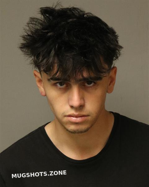 LEAMAN TREVAN COLE 10/22/2024 - New River Valley Regional Jail Mugshots ...