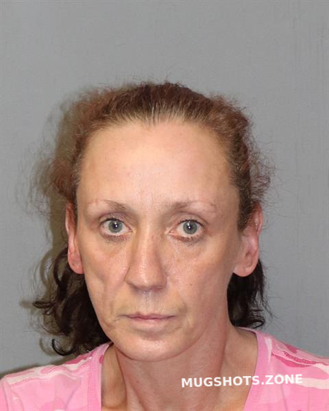 GILLESPIE RENEE JEAN 10/25/2024 - New River Valley Regional Jail ...