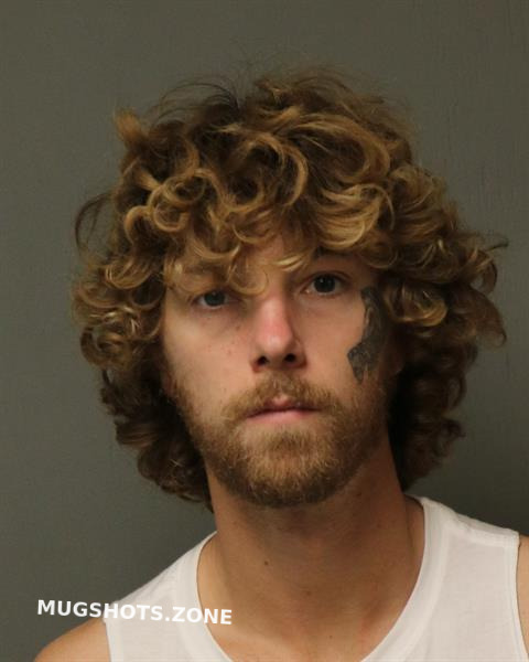 BLAUER SAMUEL LOUIS 11/15/2024 - New River Valley Regional Jail ...