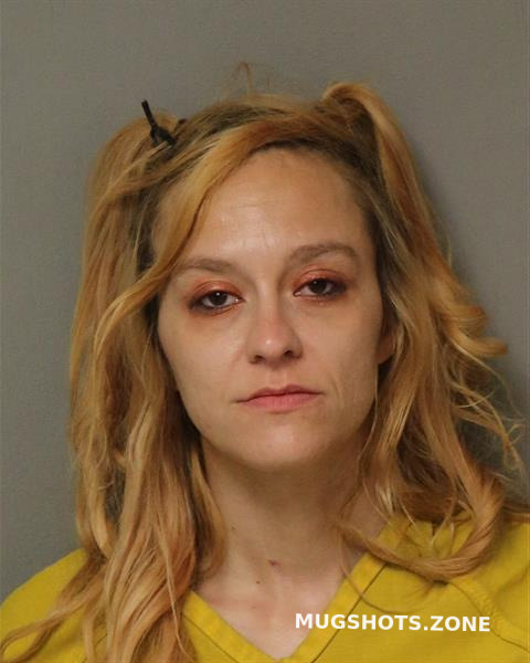 COOK BRITTANY NICOLE 11/18/2024 - New River Valley Regional Jail ...