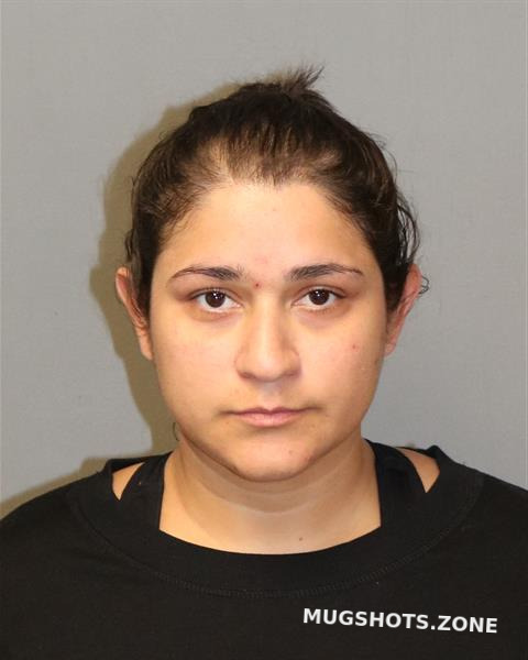 HERNANDEZ SHEENA MARIA 11/22/2024 - New River Valley Regional Jail ...