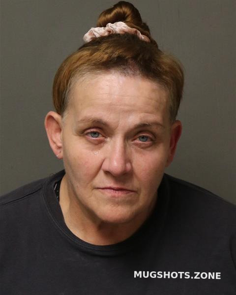 FLACK SUSAN DIANE 12/03/2024 - New River Valley Regional Jail Mugshots Zone