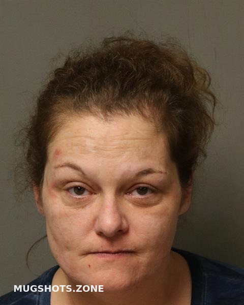 REGISTER JESSICA 01/01/2025 - New River Valley Regional Jail Mugshots Zone