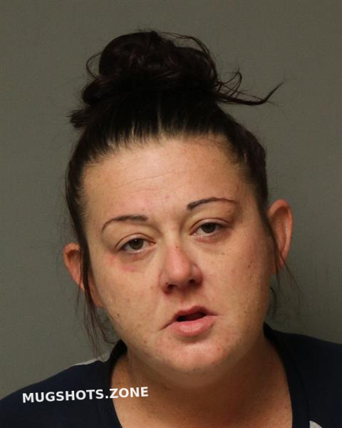 JENKINS CHELSEA DAWN 01/16/2025 - New River Valley Regional Jail ...