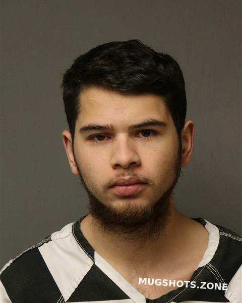 FLORES DILLON ANDREW 01/23/2025 - New River Valley Regional Jail ...