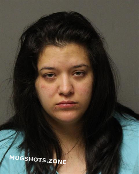 MCBRIDE MEGAN MARIA 02/02/2025 - New River Valley Regional Jail ...