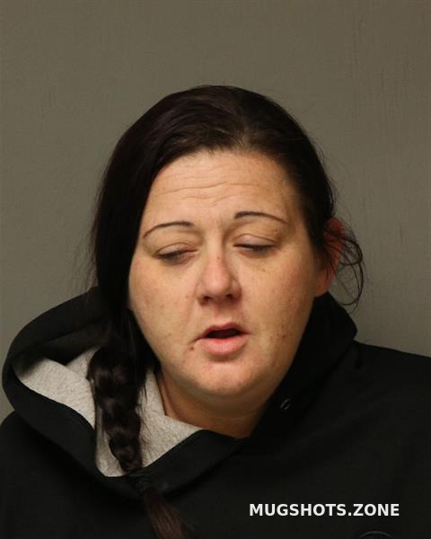 JENKINS CHELSEA DAWN 02/09/2025 - New River Valley Regional Jail ...