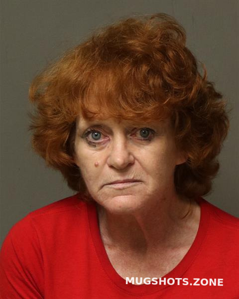 BROWN KAREN RENAY 04/06/2025 - New River Valley Regional Jail Mugshots Zone