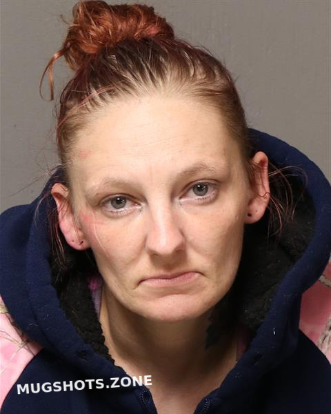 JOHNSON AMANDA RENEE 04/15/2025 - New River Valley Regional Jail ...