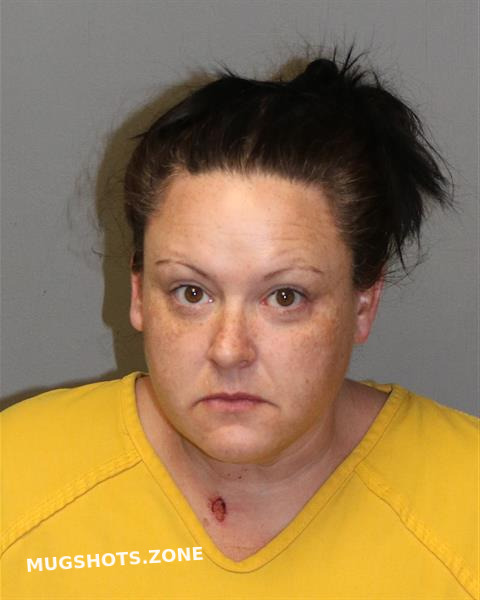 LIPSCOMB KATIE LYNN 04/29/2025 - New River Valley Regional Jail ...