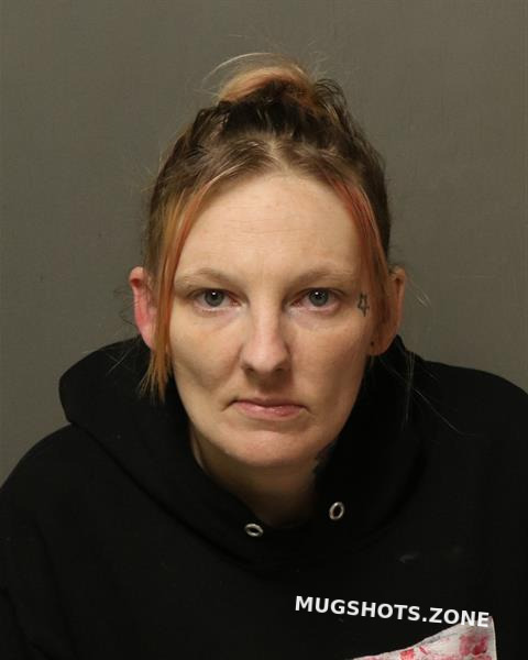 JOHNSON AMANDA RENEE 05/15/2025 - New River Valley Regional Jail ...