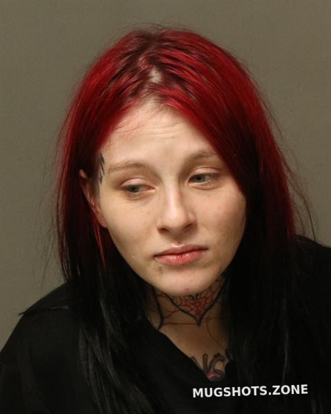 DIGGS ALLISON TAYLOR 08/24/2025 - New River Valley Regional Jail ...