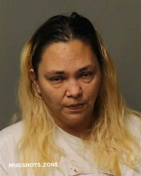 IBARRA APRIL LYNN 12/03/2025 - New River Valley Regional Jail Mugshots Zone
