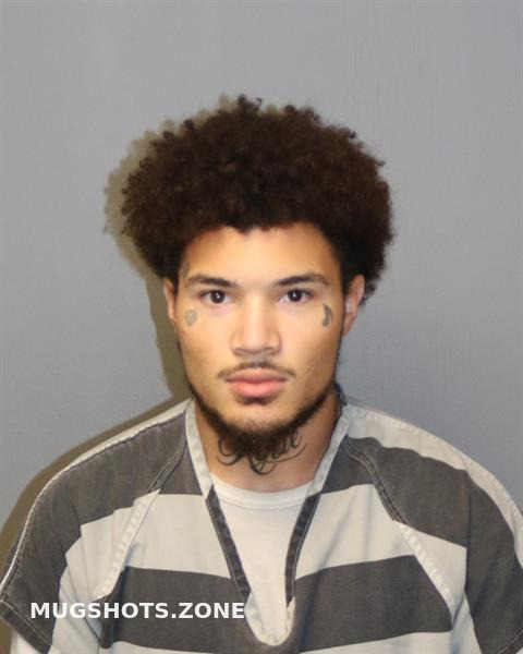 DESMAR ANTHONY BENJAMIIN 01/02/2026 - New River Valley Regional Jail ...
