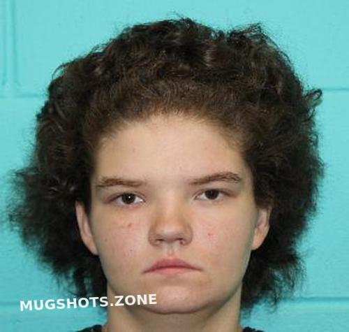 HAMILTON MARCELLA MICHELE 09/25/2021 - Nolan County Mugshots Zone