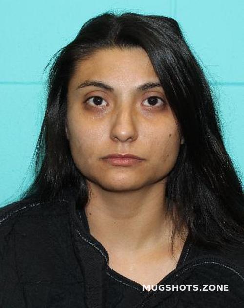 Rojas Brittany Nicole 08 17 2022 Nolan County Mugshots Zone