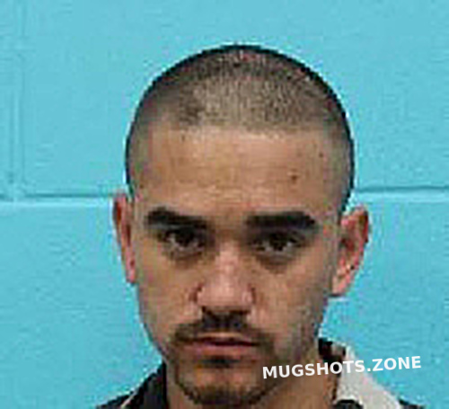 NICHOLAS BRYAN HALEY 07/19/2023 - Nolan County Mugshots Zone