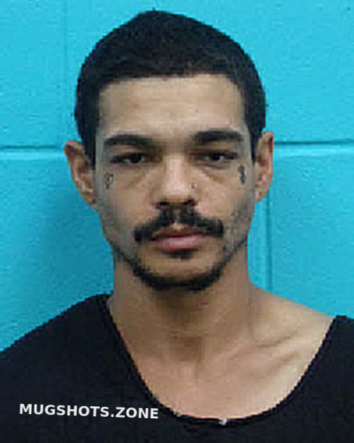 DANIEL JAY ODEN 07/22/2023 - Nolan County Mugshots Zone