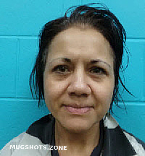 TONI MARIE HINOJOS 08/18/2023 - Nolan County Mugshots Zone