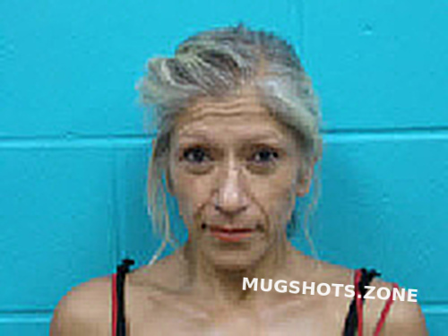 CASSANDRA RENEE MENDEZ 08/21/2023 - Nolan County Mugshots Zone