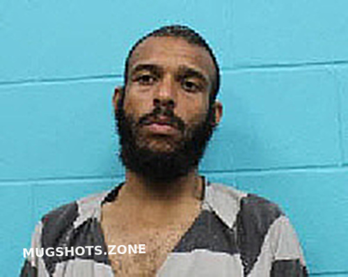 JARED SETH DAVIS 03/24/2024 - Nolan County Mugshots Zone