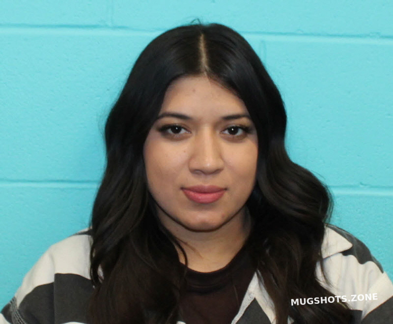 STEPHANIE CASTILLO 04/05/2024 - Nolan County Mugshots Zone