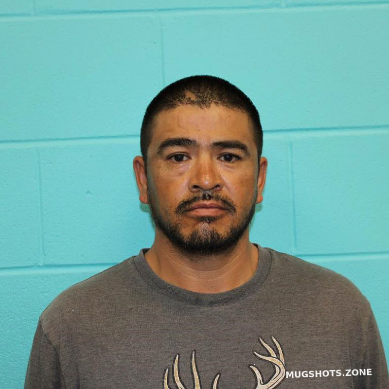 EDGAR CASTANEDA 06/01/2024 - Nolan County Mugshots Zone