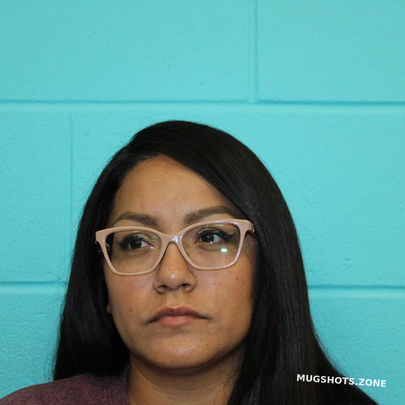 ERICA STELLA CRUZ 06/02/2024 - Nolan County Mugshots Zone
