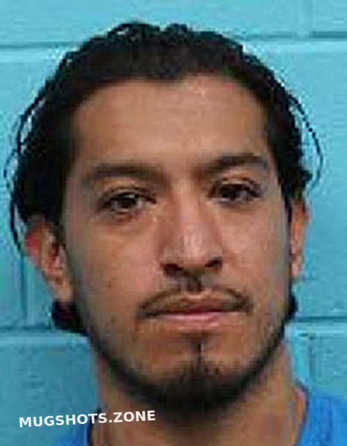 DANIEL LEON CAMPA 08/15/2024 - Nolan County Mugshots Zone