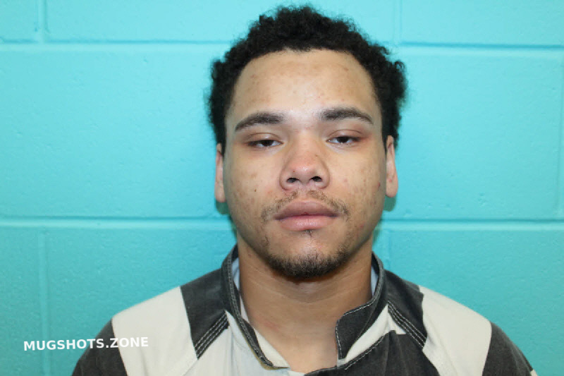 MAXIMUS ANDREW ALVARADO 09/25/2024 - Nolan County Mugshots Zone