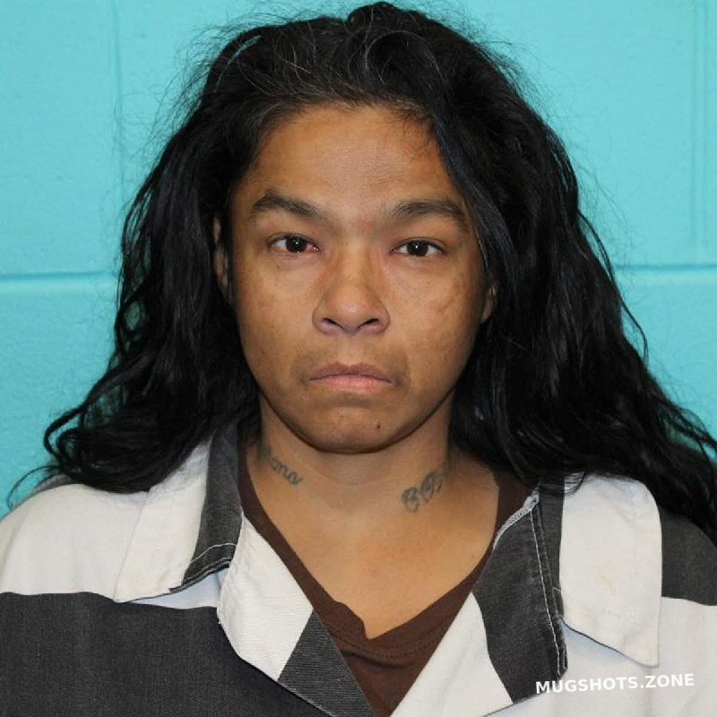 ERICA GUTIERREZ 10/04/2024 - Nolan County Mugshots Zone