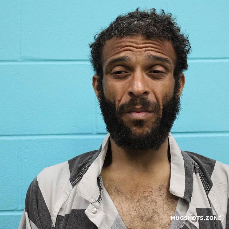 JARED SETH DAVIS 11/22/2024 - Nolan County Mugshots Zone