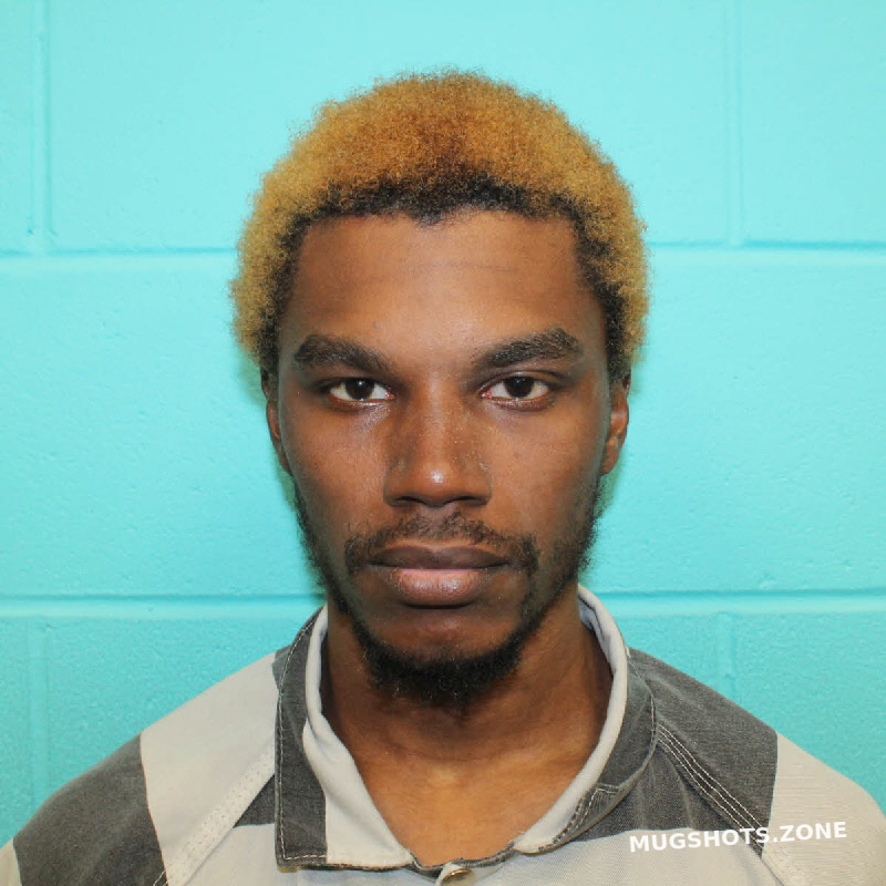 JONATHAN TAYLOR MATHEWS 02/14/2025 - Nolan County Mugshots Zone