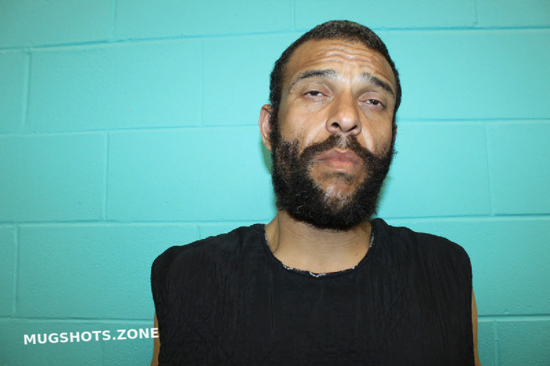 JARED SETH DAVIS 04/12/2025 - Nolan County Mugshots Zone