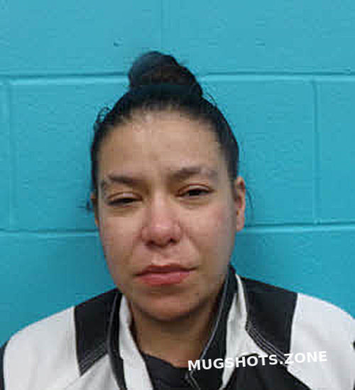 DANIELLE ARLISA RAMON 10/29/2025 - Nolan County Mugshots Zone