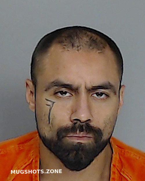 SNOW SHANE EDWARD 04/04/2023 - Nueces County Mugshots Zone