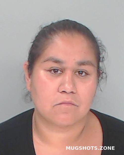 ARMADILLO SANDRA 05/02/2023 - Nueces County Mugshots Zone