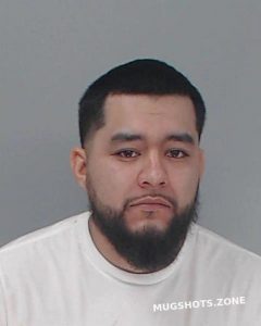 Nueces County Mugshots Zone
