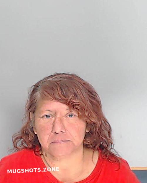 CASTILLEJA DALIA GARZA 07/04/2023 - Nueces County Mugshots Zone