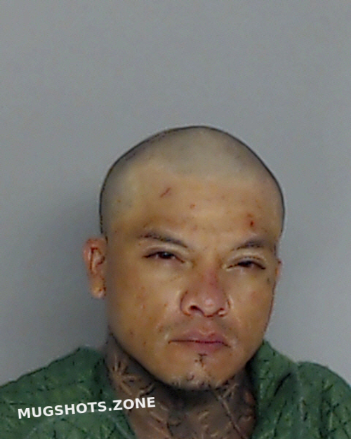 ANGUIANO MICHAEL 02/02/2024 - Nueces County Mugshots Zone