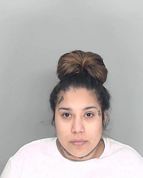 HERNANDEZ ELIDA GUADALUPE 03/30/2024 - Nueces County Mugshots Zone