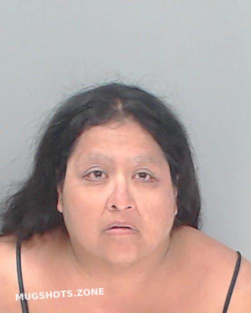 SIERRA YVONNE 04/04/2024 - Nueces County Mugshots Zone